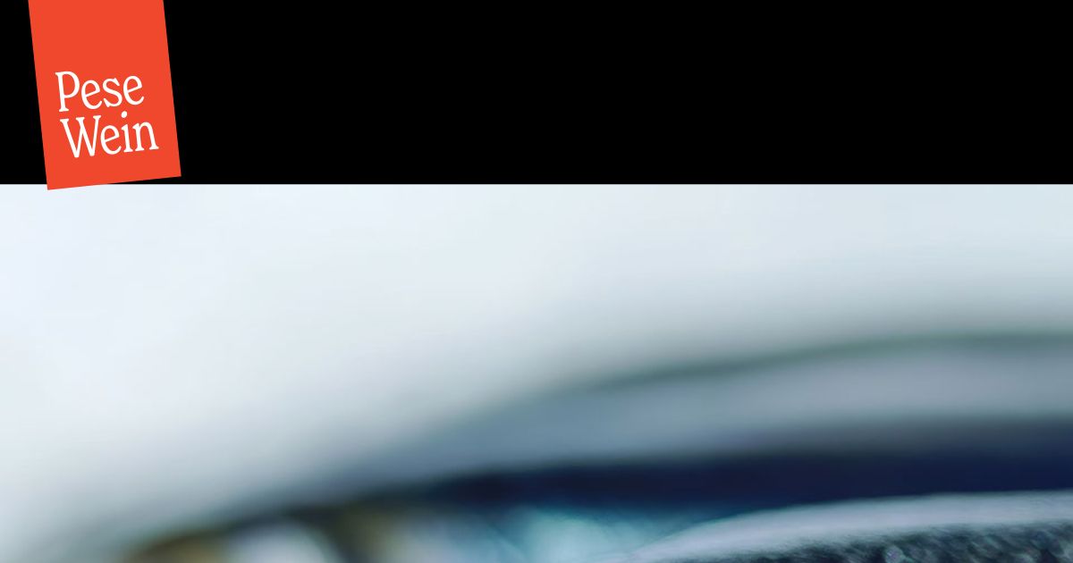 Weine zu Stint Rezepten | Weinempfehlungen | Pese Wein